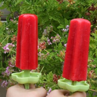 Raspberry Popsicles - Recipe Boy
