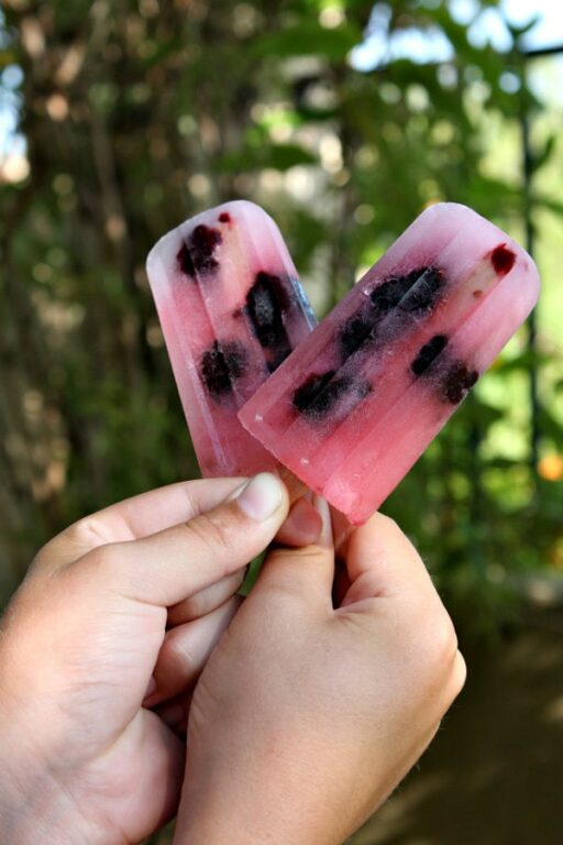 Blackberry Lemonade Popsicles - Recipe Boy