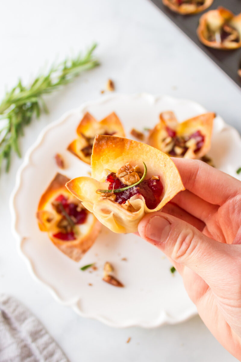 Cranberry Brie Bites - Recipe Boy