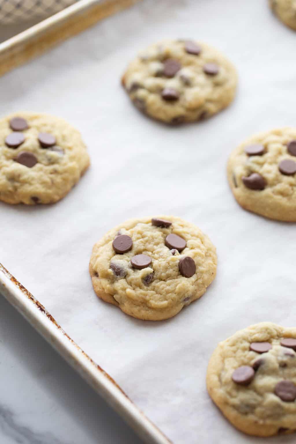Chocolate Chip Pudding Cookies - Recipe Boy